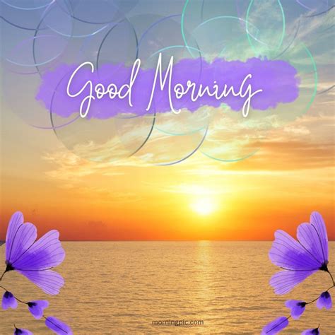 Top 999 Beautiful Good Morning Images Hd Amazing Collection