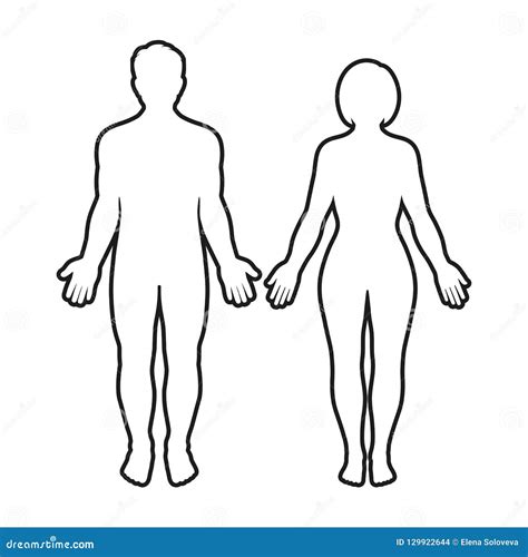 Silueta Del Esquema De Un Hombre Y De Una Mujer En Un Fondo Blanco