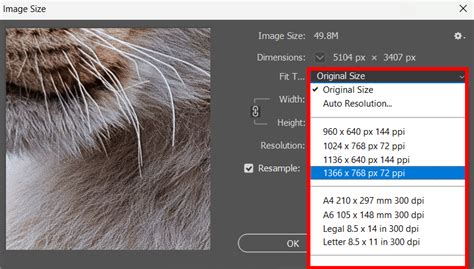How To Resize An Image In Photoshop Laptrinhx
