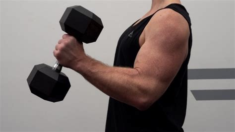 Dumbbell Hammer Curl