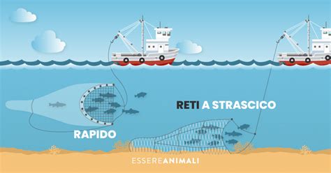 Tutto ciò che c è da sapere sulla pesca in mare metodi e problematiche