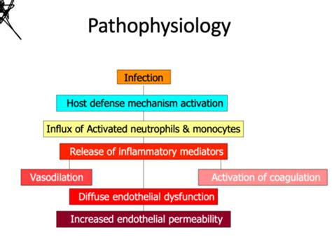 Sepsis Flashcards Quizlet