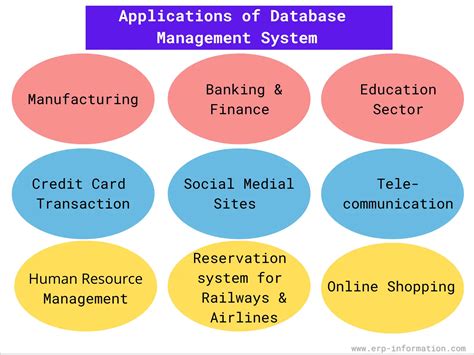 what is database management system dbms