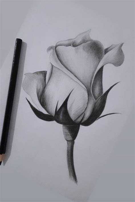 Pencil Drawing Images Art Sketches Pencil Book Art Drawings Pencil
