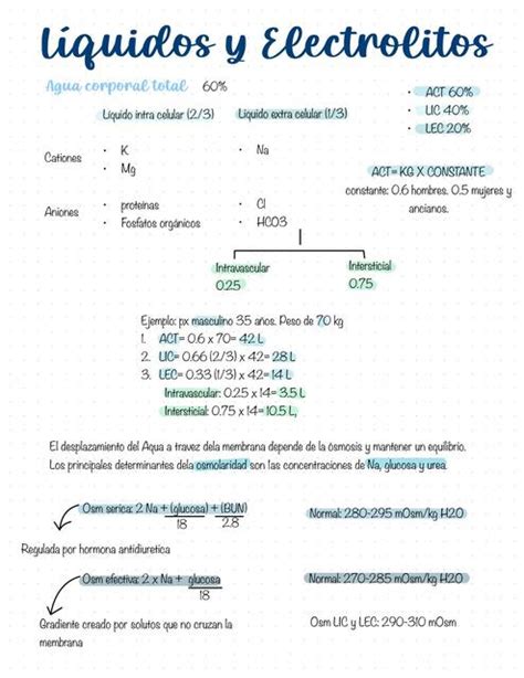 Líquidos y electrolitos Sandra Rdz uDocz