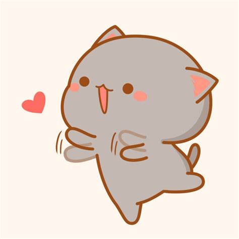 Hình Mèo Cute Nhất Ảnh Con Mèo Dễ Thương Đáng Yêu TBDN
