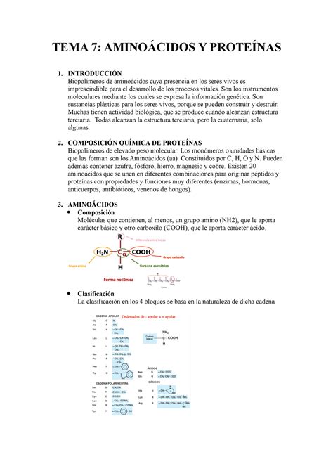 Tema Amino Cidos Y Prote Nas Tema Amino Cidos Y Prote Nas