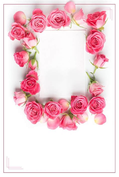 Regalo Rose Tarjeta Im Genes De Fondo Gratuitas Frame Decoracion