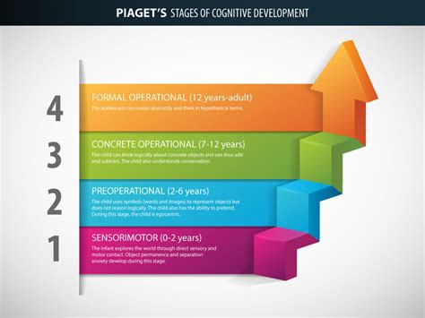 Piaget S Stages Of Cognitive Development Diagram Quizlet