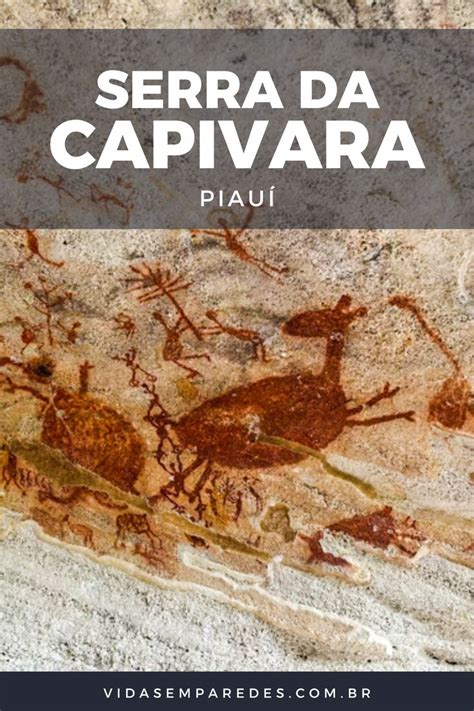 Serra da Capivara Piauí como visitar Petroglyphs art Cave