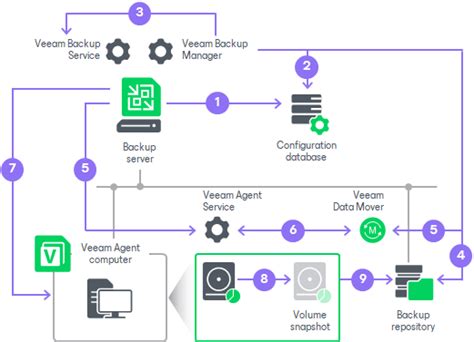 Veeam Backups Politicslasopa