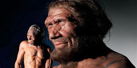 El Cromosoma Y Revela Que Neandertales Y Sapiens Ya Se Aparearon Hace