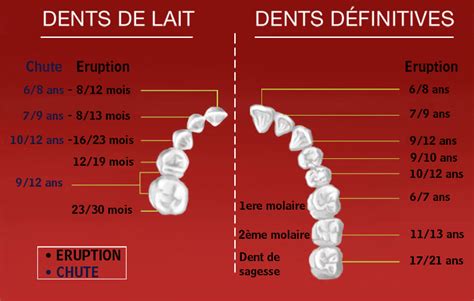 Centre Dentaire Val D Europe Urgences Implantologie