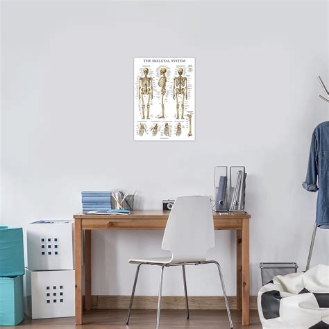 Palace Learning Skeletal System Anatomical Chart LAMINATED Human