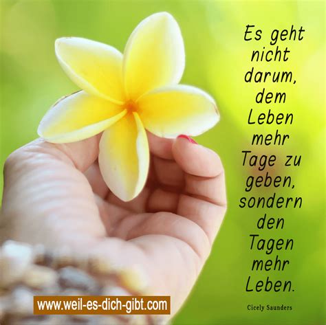 Spruch Nicht Mehr Leben Es Kommt Nicht Darauf An Dem Leben Mehr