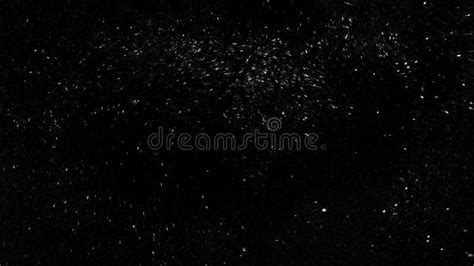 White Dust Particles Isolated On Black Background Stock Footage Video