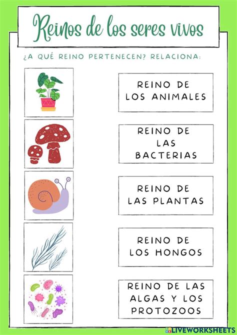 Actividad Interactiva De Reinos De Los Seres Vivos Artofit