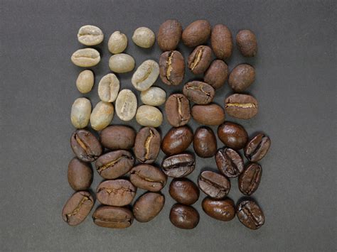 Coffee Bean Types And Their Characteristics