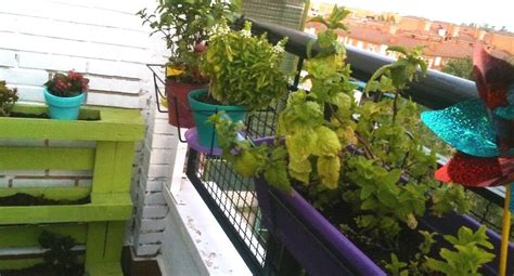 Cómo crear un huerto vertical casero utilizando botellas recicladas
