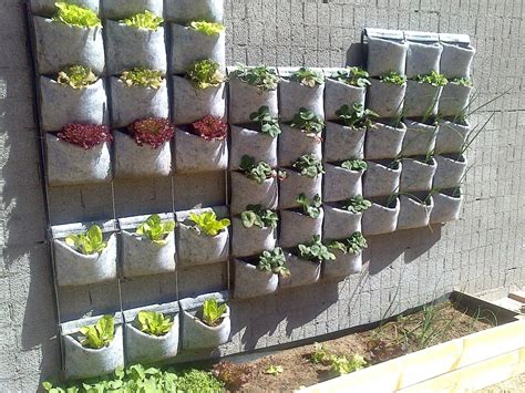 HUERTA VERTICAL descubre cómo crear una en tu hogar y más
