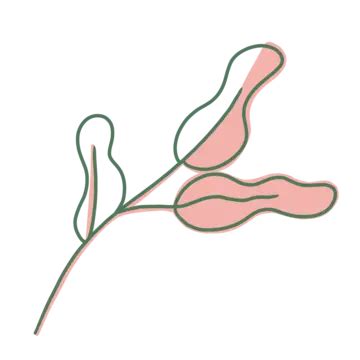 Aesthetic Line Art White Transparent Leaves Aesthetic Line Art Leaves