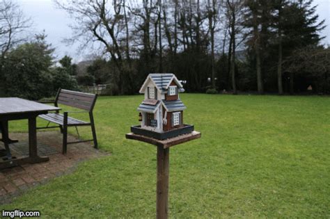 focal length assignment album on imgur