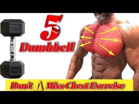 Perfect Dumbbell Chest Workout Don T Miss Dumbbell Chest Exercise