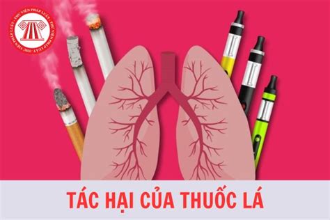 N M Qu Ph Ng Ch Ng T C H I C A Thu C L C S D Ng Chi Cho