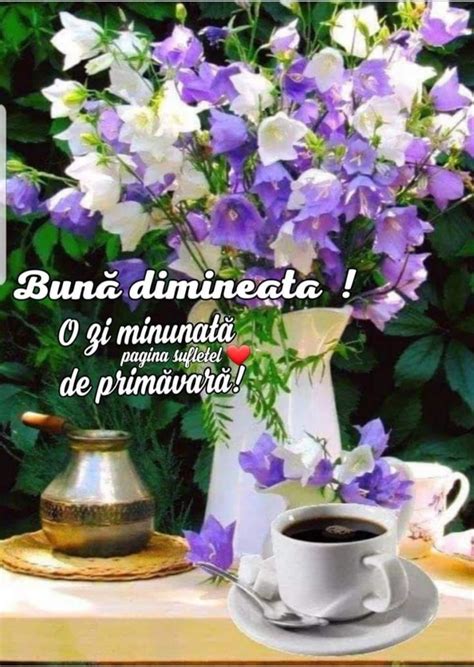 Pin Di Cornelia Edy Su Flori Peisaje Mesaje