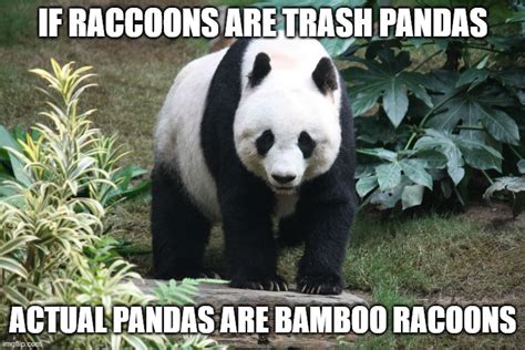 Pick Up Line Panda Meme