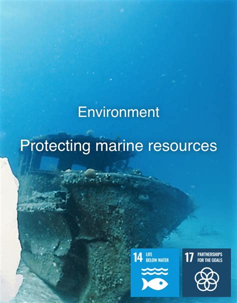 Protection des ressources marinesDurabilité Société Seiko Watch