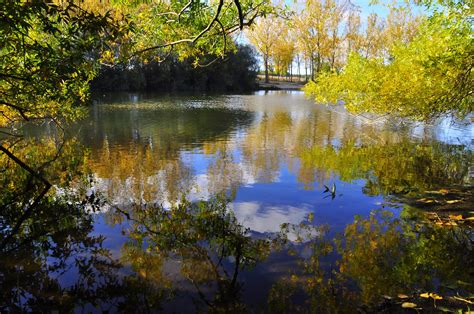 Banco De Imagens Panorama Rvore Agua Natureza Floresta Regi O