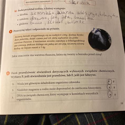 Przeczytaj Tekst I Odpowiedz Na Pytanie Brainly Pl