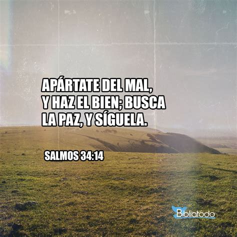 Salmos Ta Huye Del Mal Y Obra El Bien Busca La Paz Y