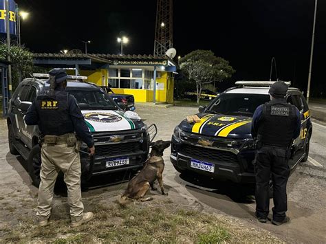 PRF apreende Maconha e Cloridrato de Cocaína escondidos dentro de peça