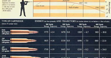 Rifle Bullet Trajectory Chart By Caliber