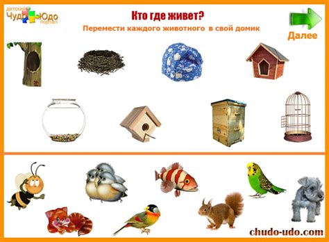 Логическая игра для детей Кто где живет и что ест