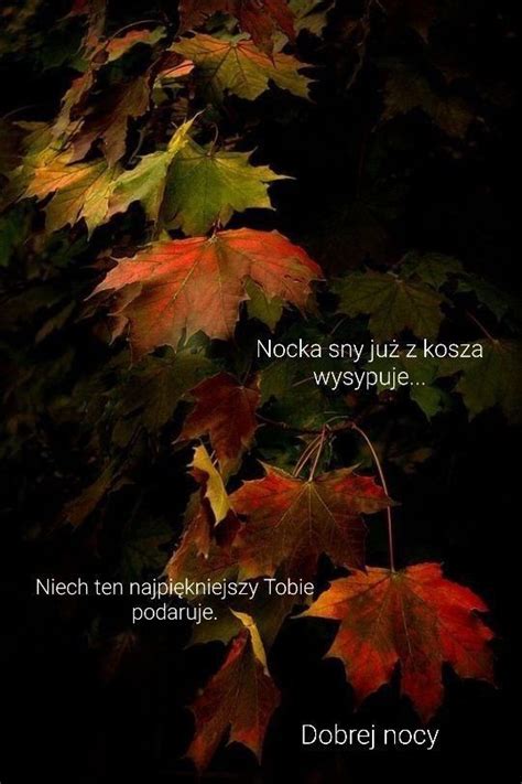 Najlepiej Kartki Na Dobranoc Kartkinadobranoc Pl Artofit