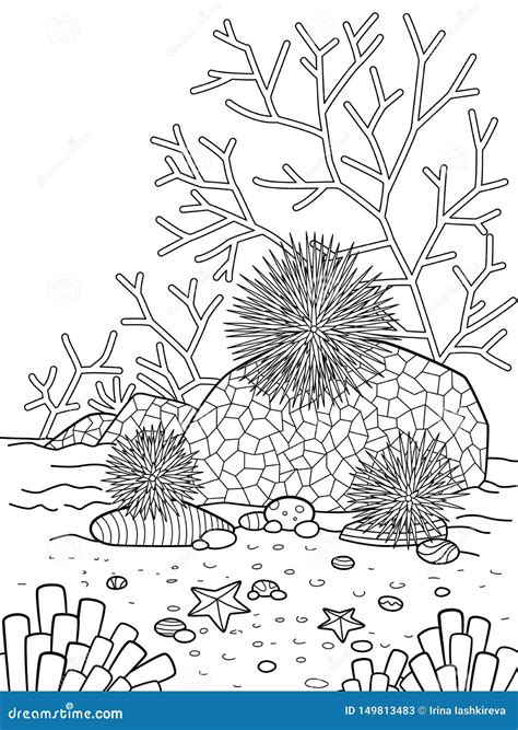 P Gina Do Livro Para Colorir Da Garatuja Do Mar Ilustra O Do Vetor