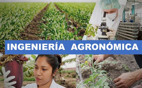 O Q é Agronomia