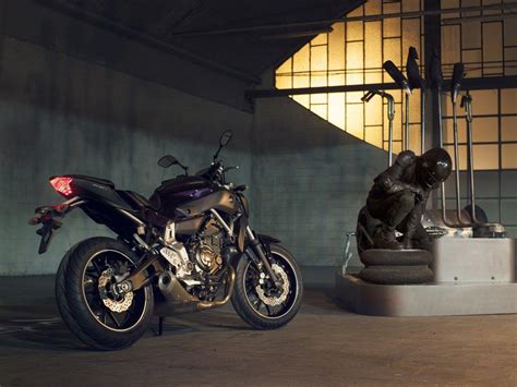 Yamaha MT 07 2014 datos oficiales y fotos de la nueva naked bicilíndrica