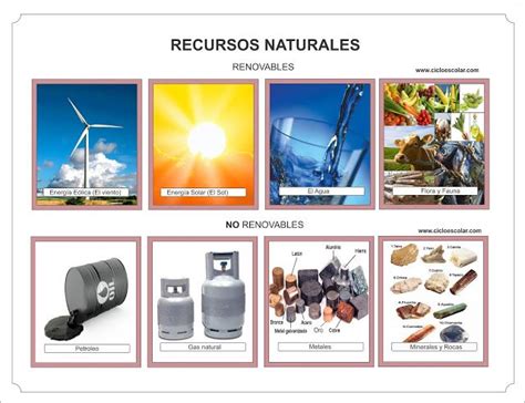 Recursos naturales Renovables y No renovables Definición y ejemplos