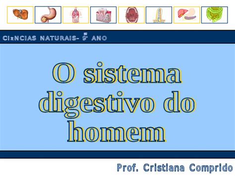 Pdf Sistema Digestivo Exerc Cios Pdfslide Net