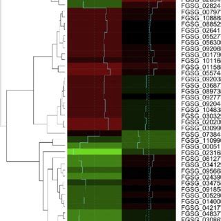 Log 2 Fold Change Heat Map Heat Map Showing Upregulated And