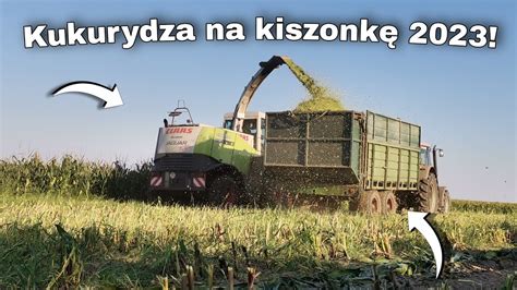 Kukurydza na kiszonkę 2023 1 Ur stanek YouTube