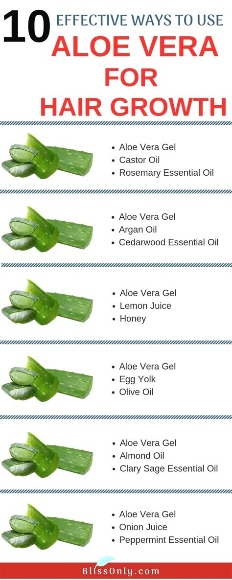 Can We Apply Aloe Vera Gel On Hair Aloe Vera For Hair Natural Hair
