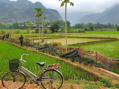 Your Complete Guide On The Best Time To Visit Vietnam Visit Vietnam