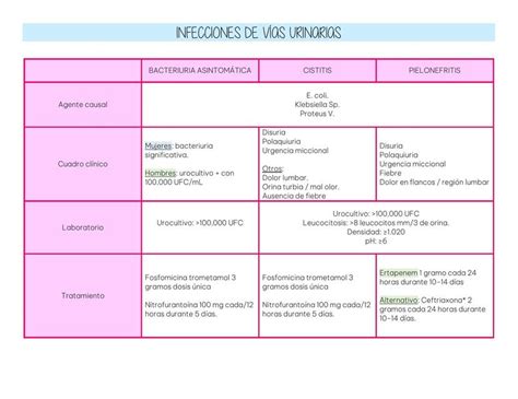 Infecciones De V As Urinarias Angie Garcia Padilla Udocz