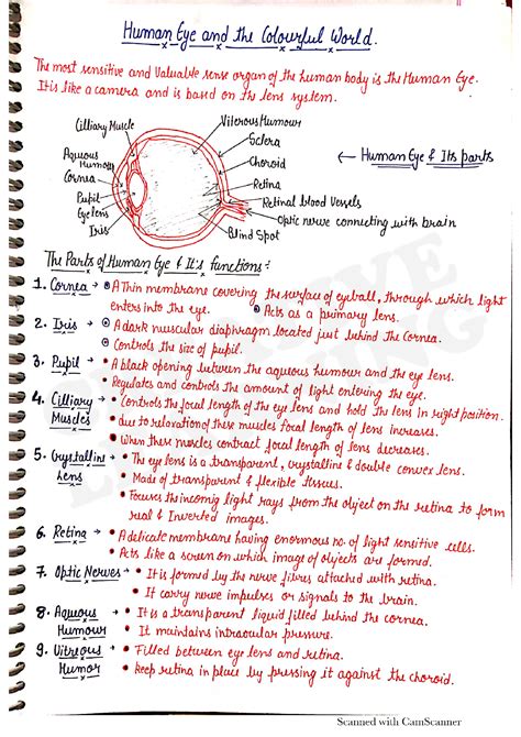 Solution Class Science Chapter Human Eye Notes Studypool