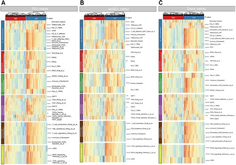 Tumor Infiltrating Macrophage Associated LncRNA Signature In Cutaneous